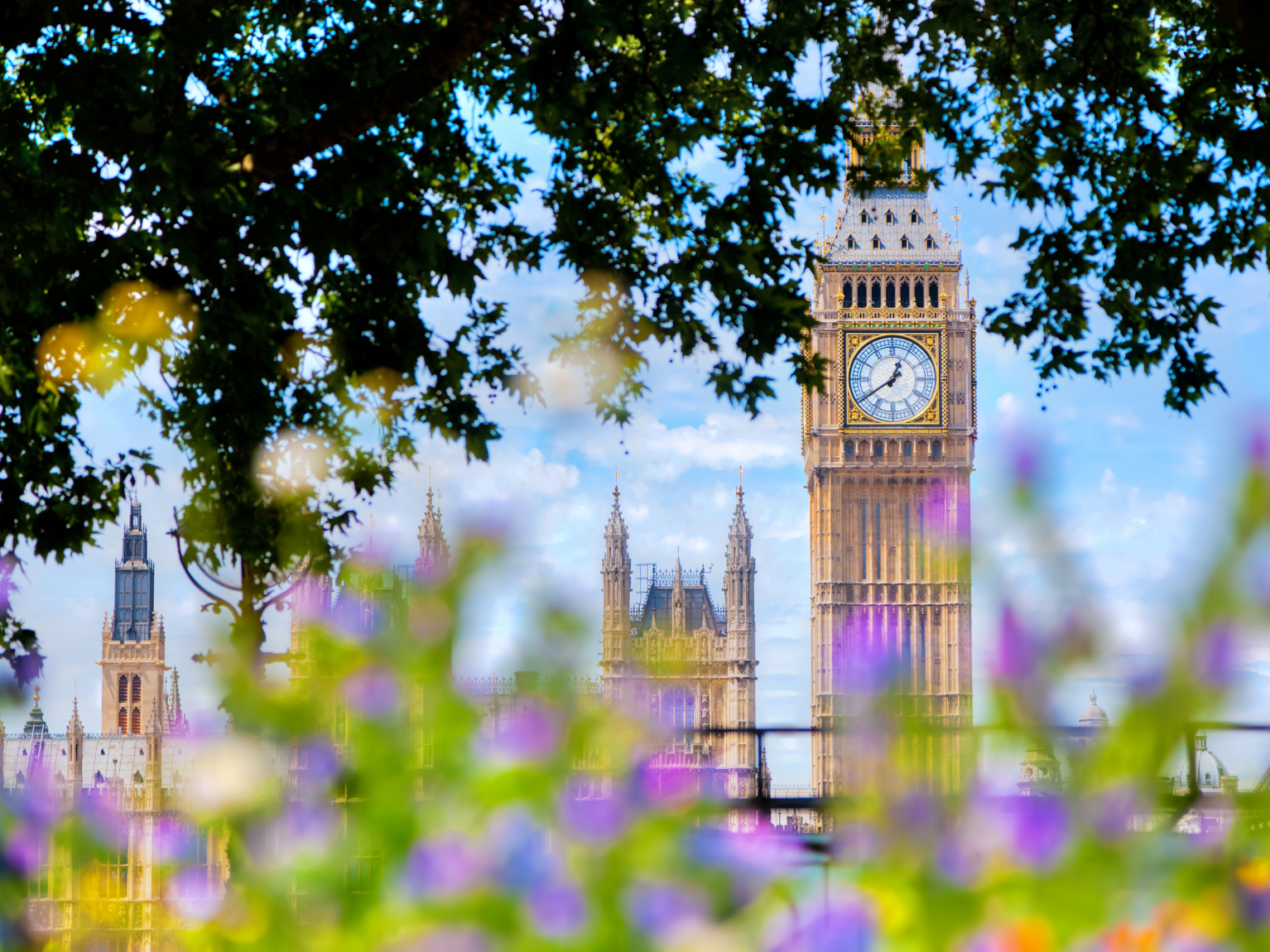 The National Flowers of the United Kingdom